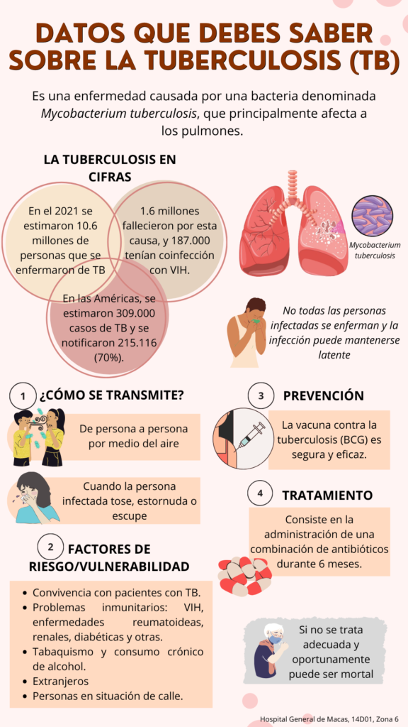 Concurso de infografías sobre Tuberculosis 2024 – Ministerio de Salud ...